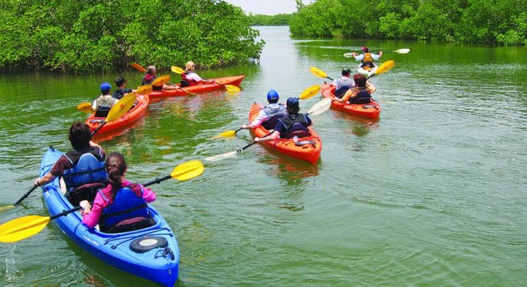 List of different water sports you want to know about - Fall in Sports