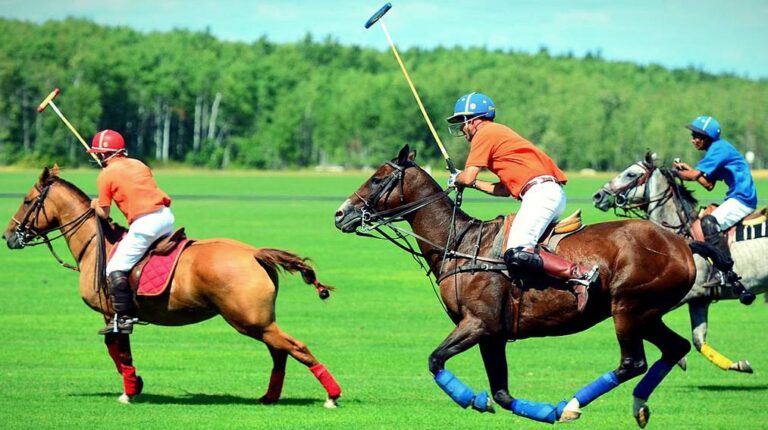 Top 10 International Games with Indian Origins - Fall in Sports